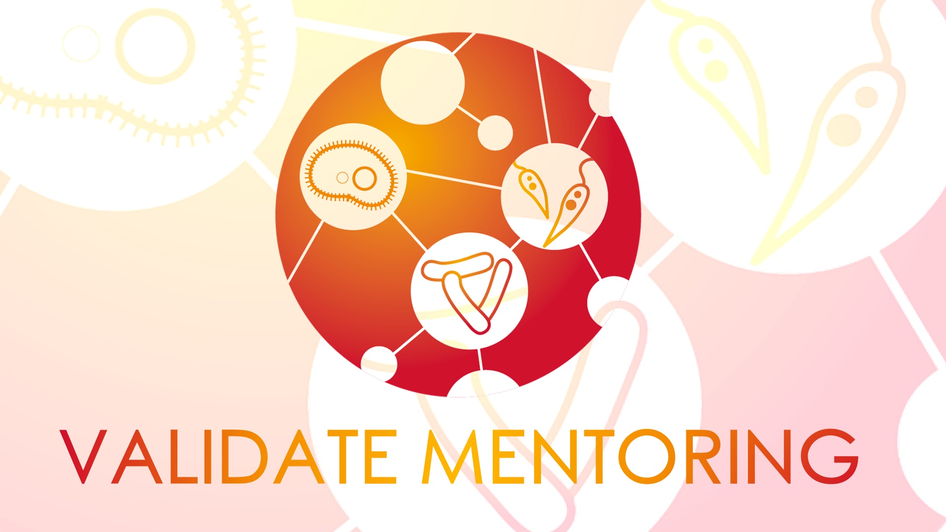 VALIDATE Mentoring 2022 | The VALIDATE Network